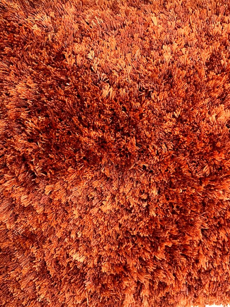 TR-58 SD-XC-02 Rust - Showcase Carpet Center & Co.